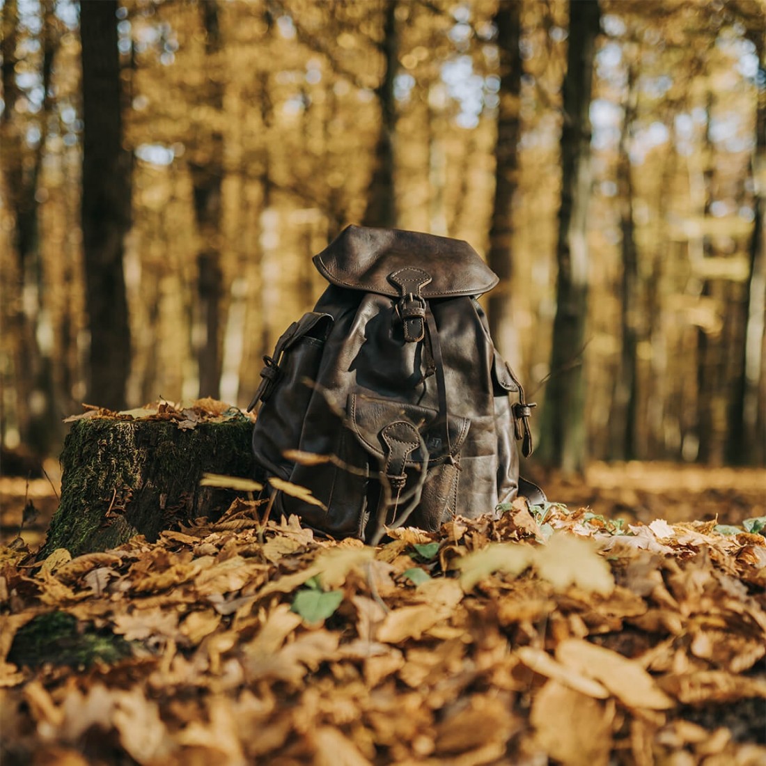 Vanatorul.ro | Magazin de vanatoare pentru pasionati